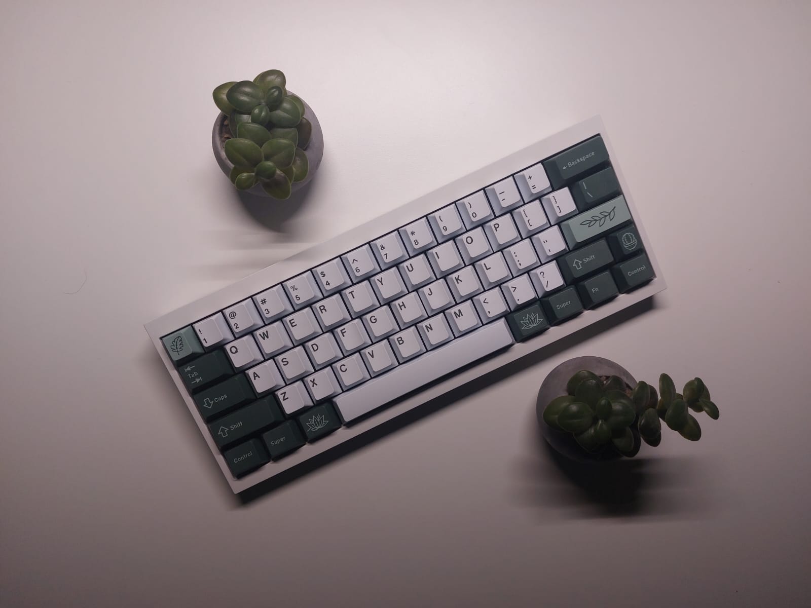 White Fang x GMK Botanical · Dusan Lecic